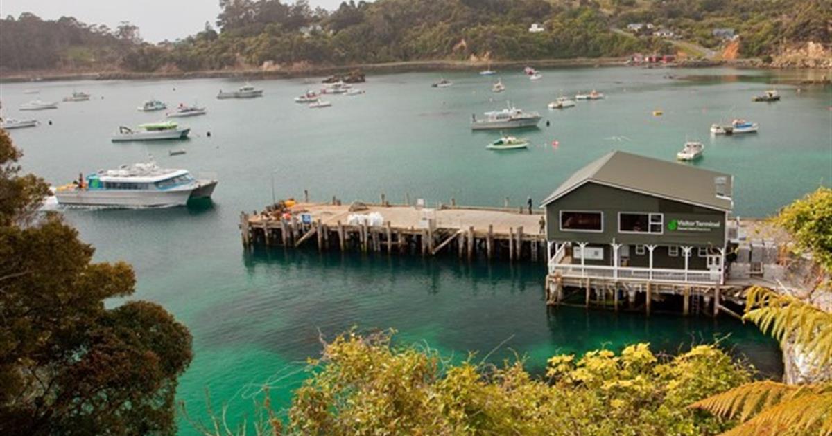 Mejores Stewart Island Tours, Visitas Guiadas y Actividades (Nueva ...