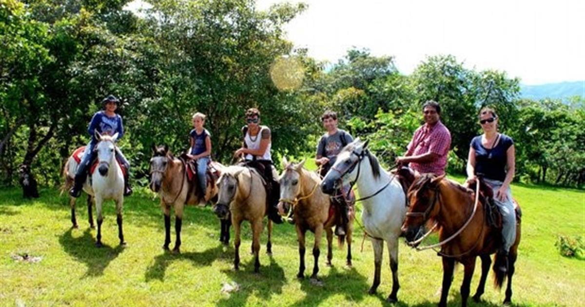 Mejores Tours a Caballo En Boquete, Panamá | Tiqy