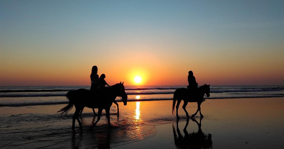 Mejores Tours a Caballo En Panamá | Tiqy