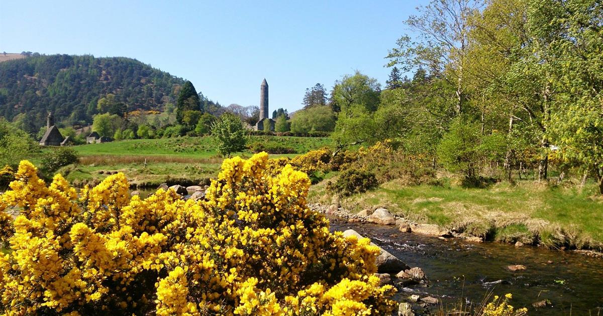 Brockaghs East y Glendalough, Wicklow, Irlanda | Tiqy