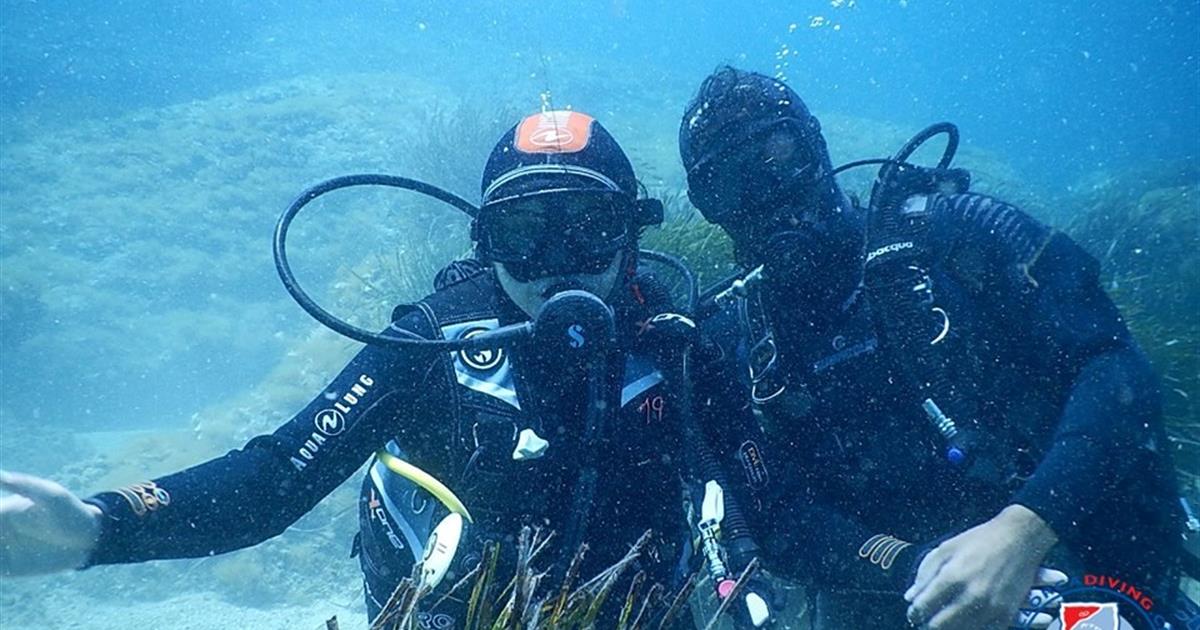 Salida de Buceo, Mallorca, Espana | Tiqy