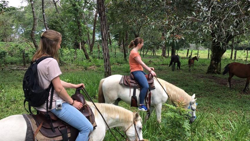 Paseo a Caballo en una Granja, Chiriquí, Panama | Tiqy
