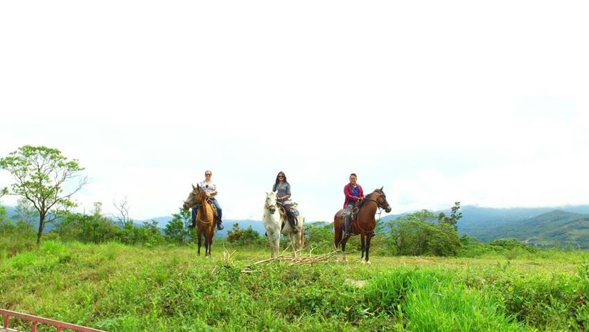 Paseo a Caballo en una Granja, Chiriquí, Panama | Tiqy