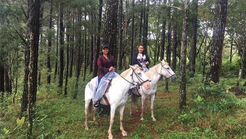 Paseo a Caballo en una Granja, Chiriquí, Panama | Tiqy