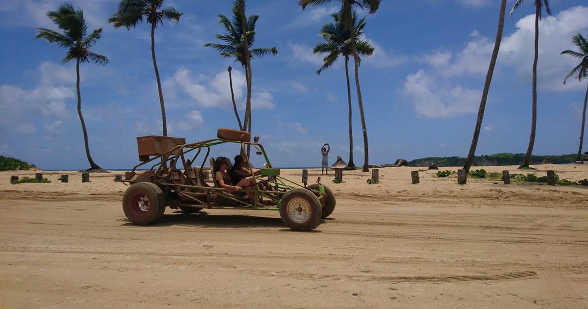 Aventura para 3 Adultos en Buggy, Punta Cana, Republica-Dominicana | Tiqy