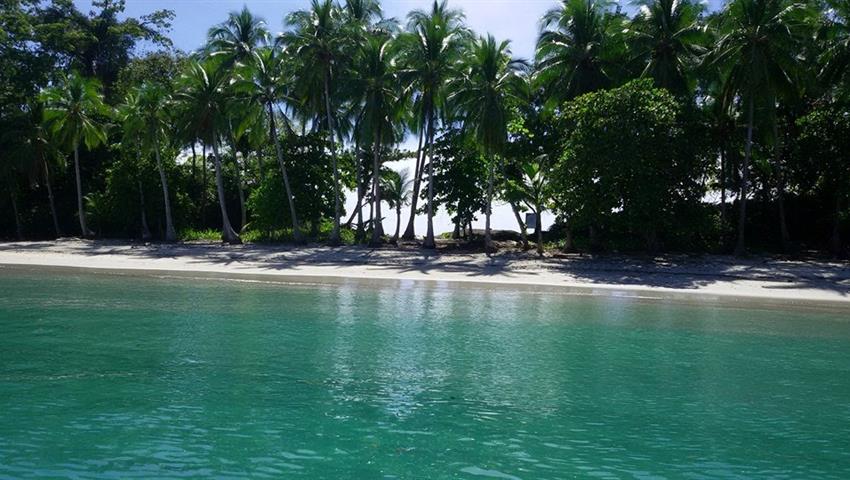 Tour a Isla Gámez en Boca Chica, Chiriquí, Panama | Tiqy