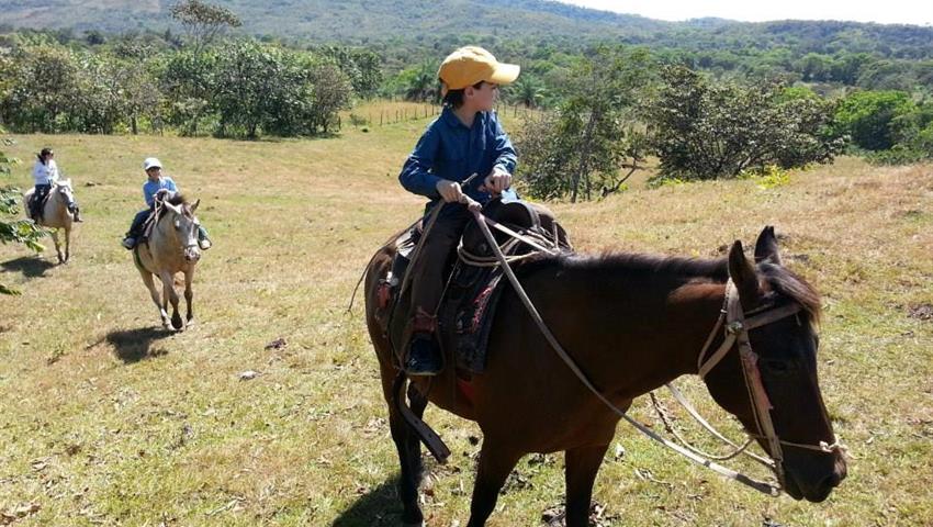 Experiencia a Caballo en Caldera, Chiriquí, Panama | Tiqy