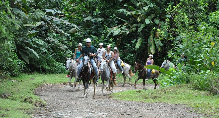 Tour A Caballo De 3 Horas Por Jacó Jaco Costa Rica Tiqy