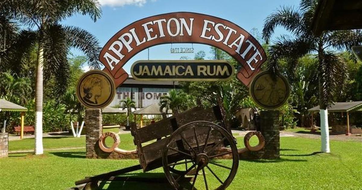 Appleton Estate Rum Factory Roundtrip, Negril, Jamaica | Tiqy