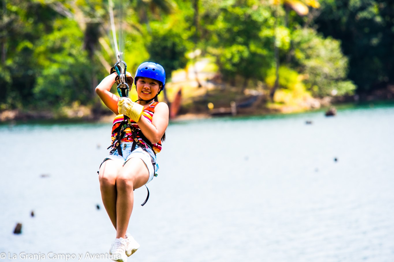 Tour de Canopy en el Lago Gatún, Colón, Panama | Tiqy