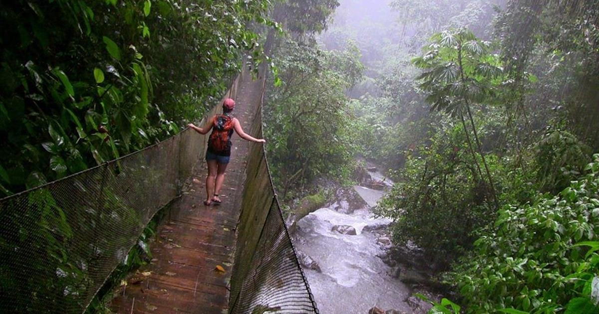 Tour a pie por El Parque Rainmaker, Puntarenas, Costa-Rica | Tiqy