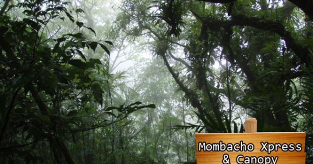 Mombacho Xpress y Canopy Tour, Granada, Nicaragua | Tiqy